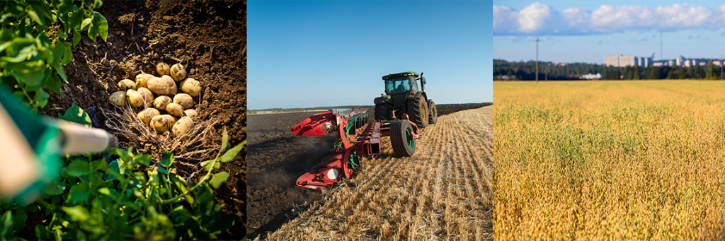 Food industry | Kinno